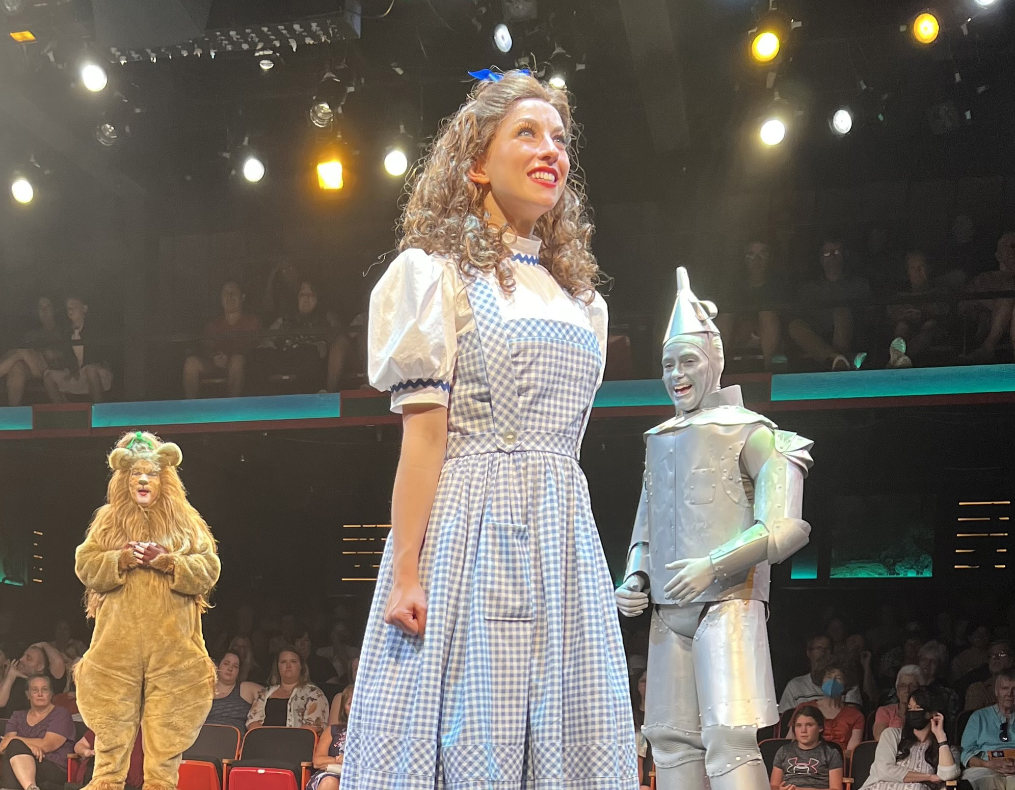 The Fireside Theatre